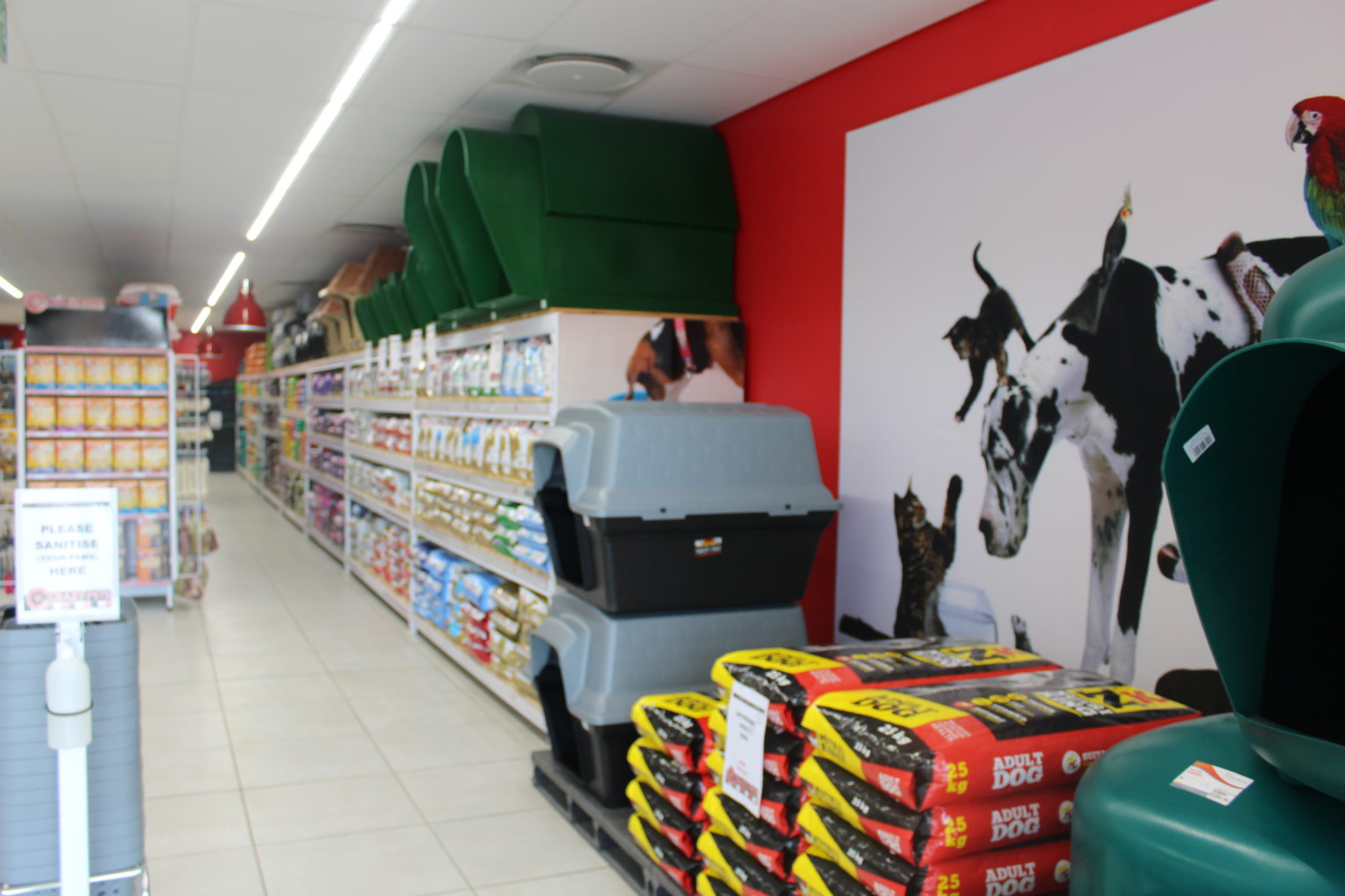 Crazy Pets - MAGALIES Hills